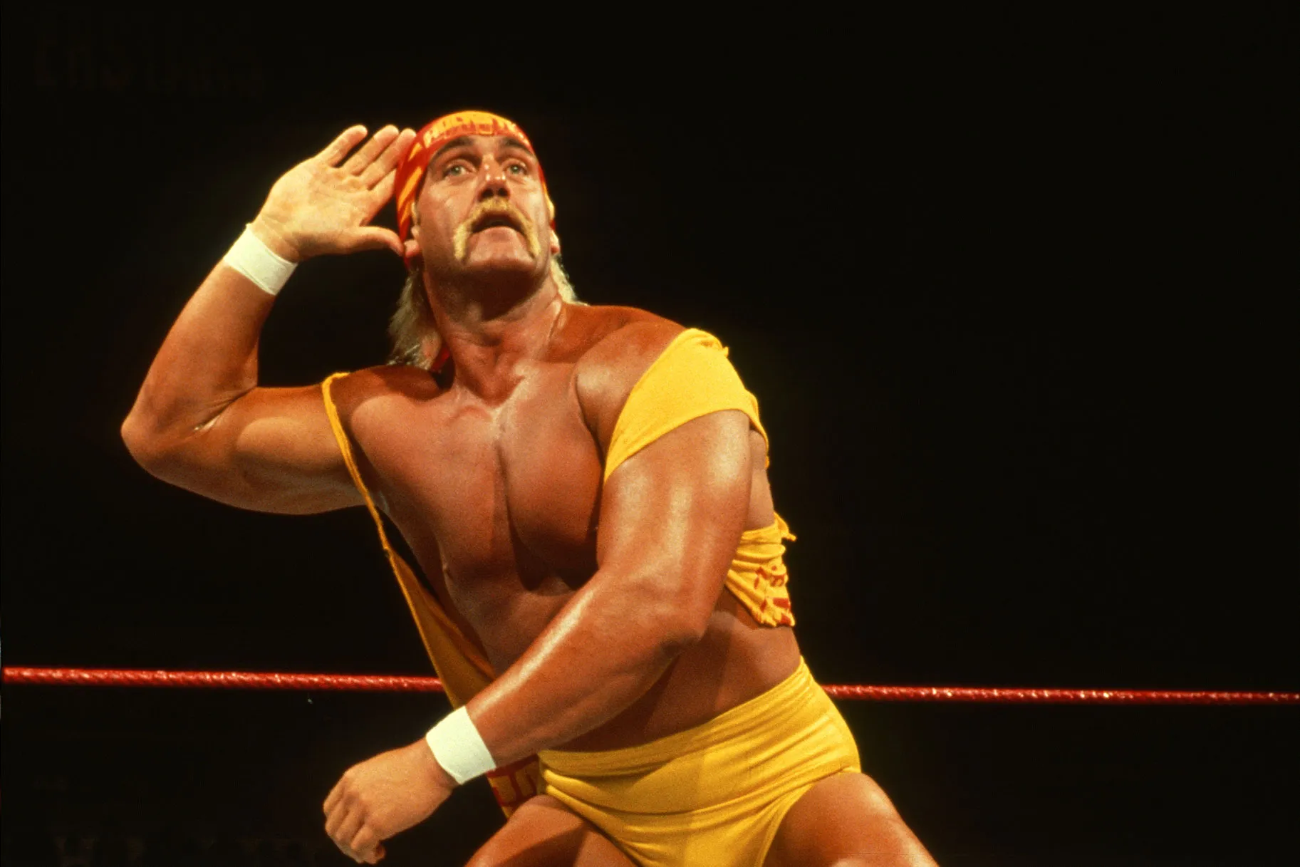 Hulk Hogan Docuseries Coming To Netflix, First Trailer Released ...